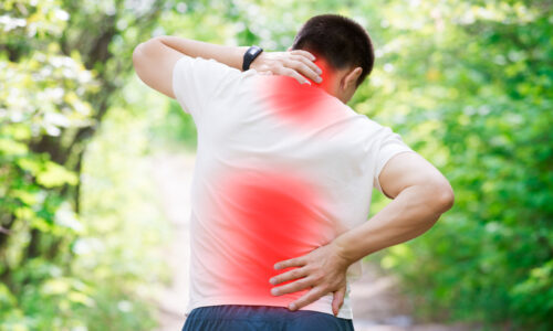 BEST 10 MINUTE HIP & LOW BACK MOBILITY ROUTINE | Life Quest ...